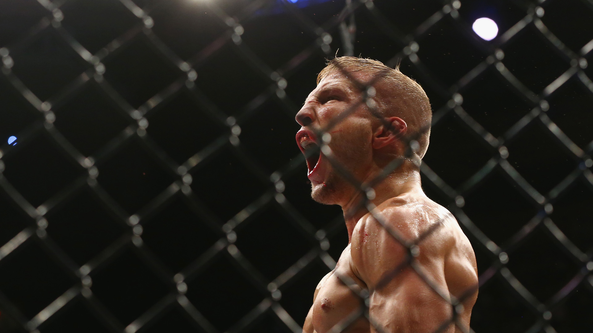 Dillashaw beats Garbrant by TKO to retain bantamweight belt | Stadium Astro