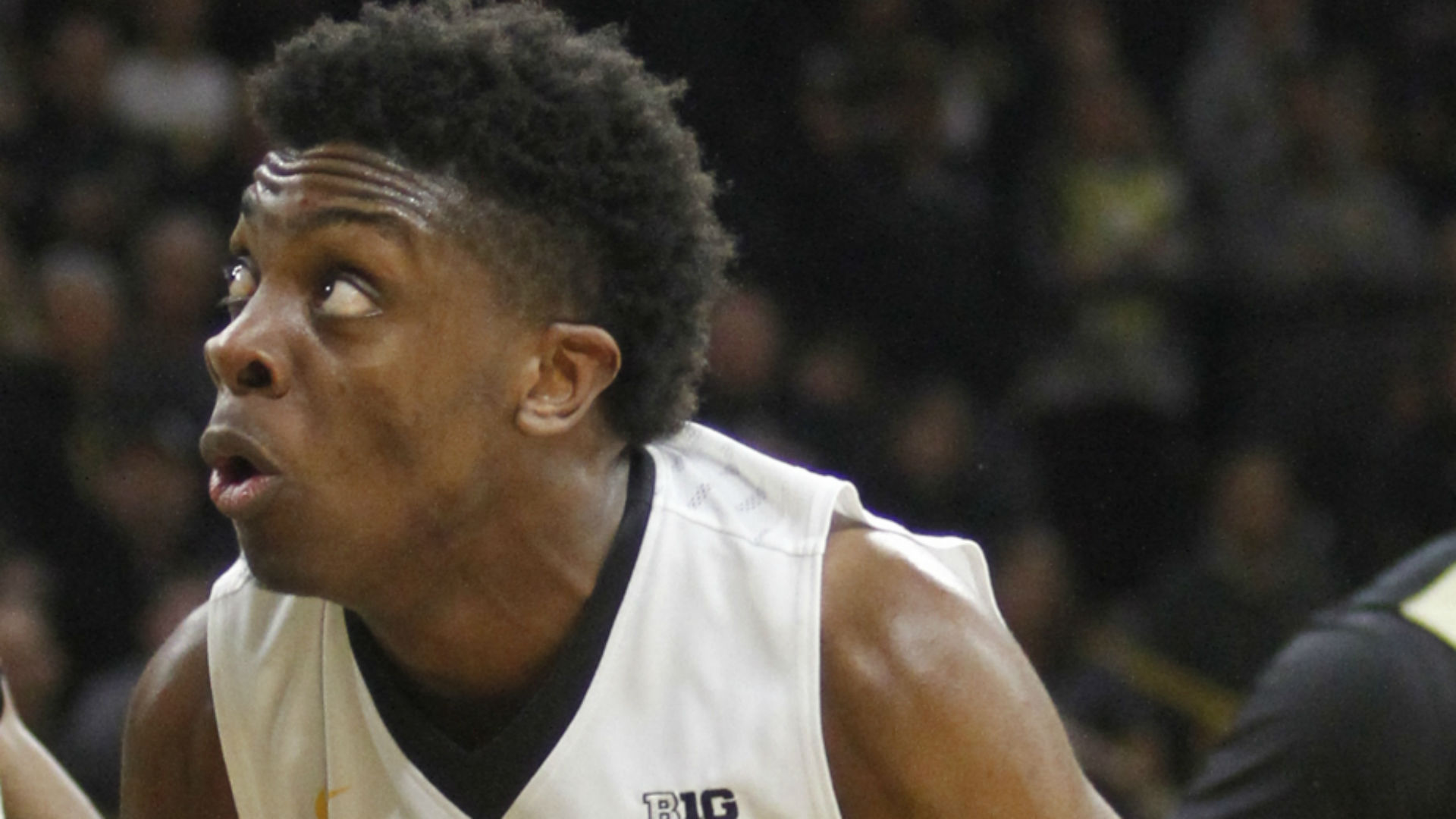 Tyler Cook's Instagram, Twitter & Facebook on IDCrawl