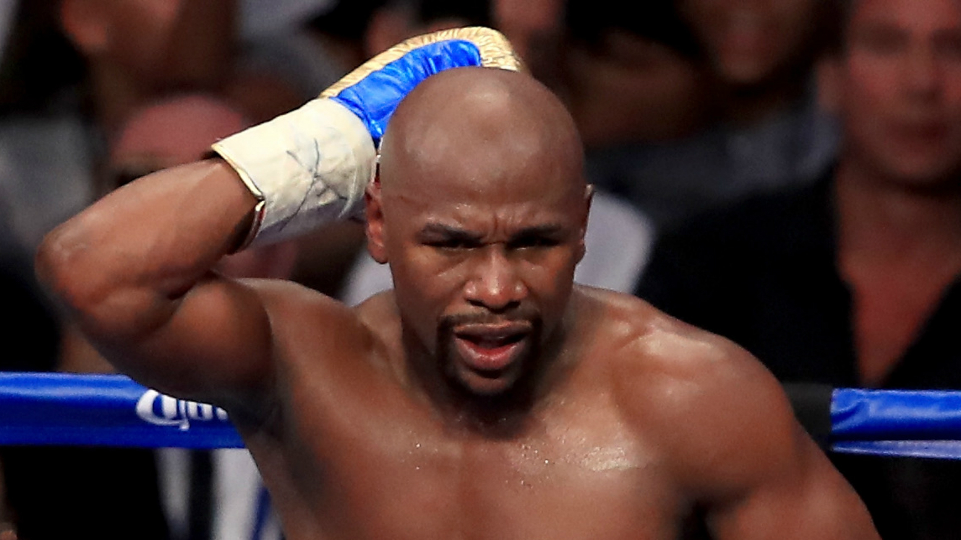 White tells Mayweather: Fight Khabib in the UFC! | Stadium Astro