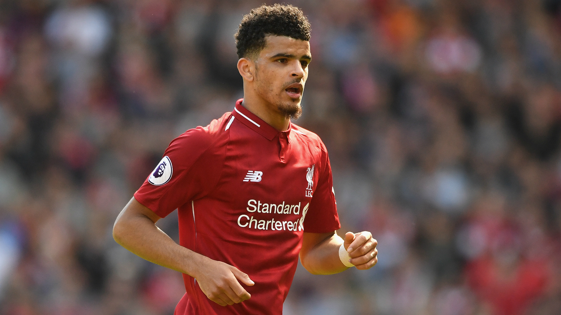 New Bournemouth signing Solanke facing a month out | EPL News | Stadium ...